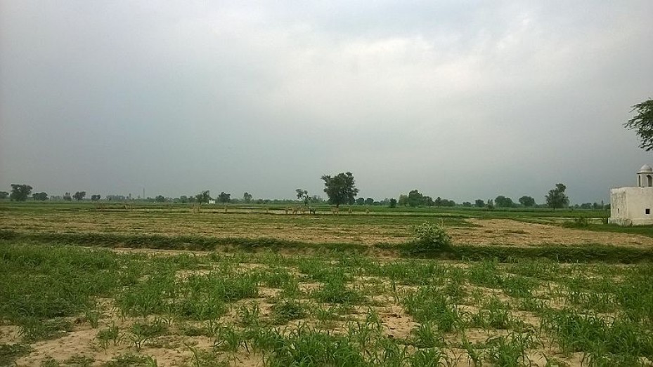 Jhajjar Photos, Pictures of Famous Tourist Places and Attractions-NativePlanet