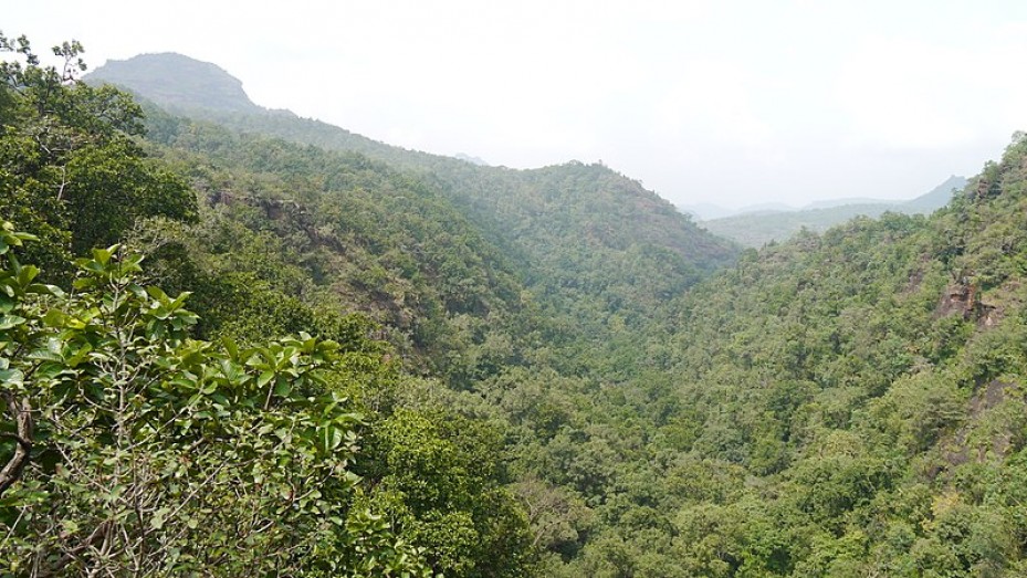 Hoshangabad Photos, Pictures of Famous Tourist Places and Attractions ...