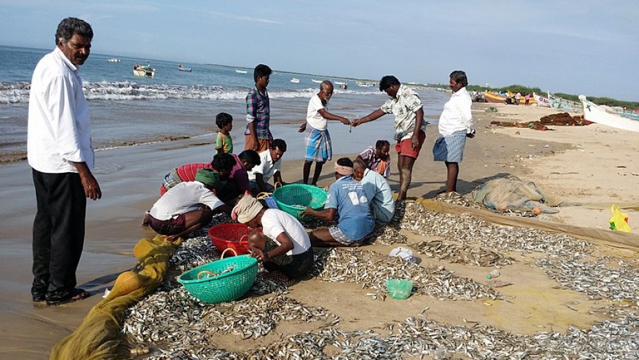 Thoothukudi Photos, Pictures of Famous Tourist Places and Attractions ...