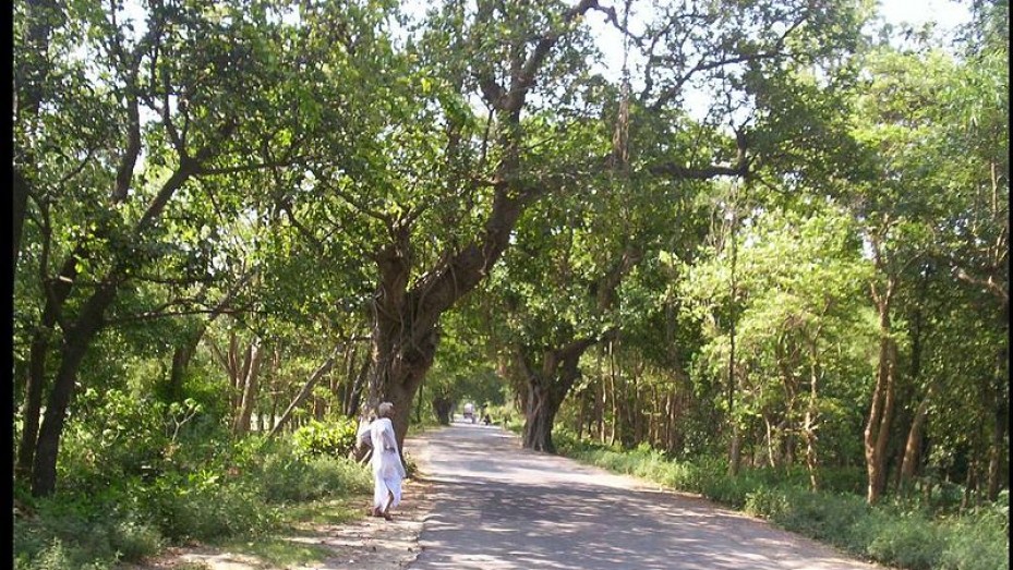 Begusarai Photos, Pictures of Famous Tourist Places and Attractions ...