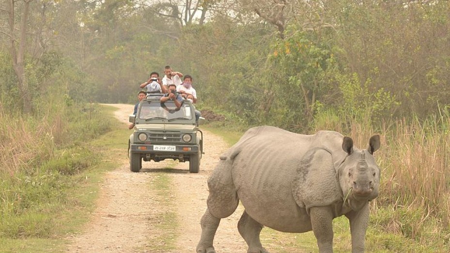 National Parks In Assam Photos, Pictures of Famous Tourist Places and ...