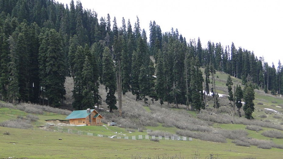 Budgam Photos, Pictures of Famous Tourist Places and Attractions ...