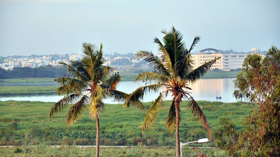 Bellandur Lake - Bangalore | Bellandur Lake Photos, Sightseeing ...