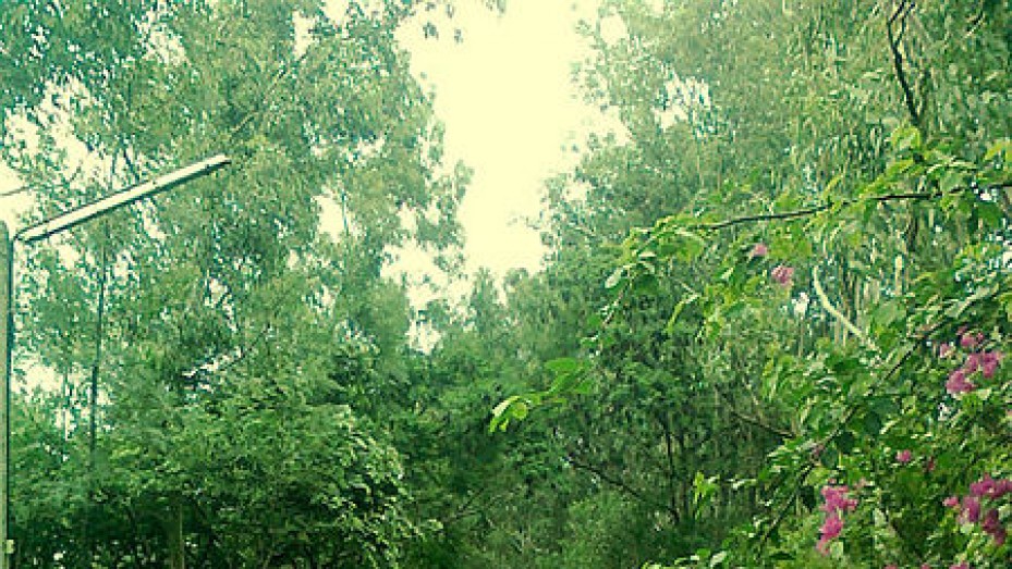 Toranmal Photos, Pictures of Famous Tourist Places and Attractions ...