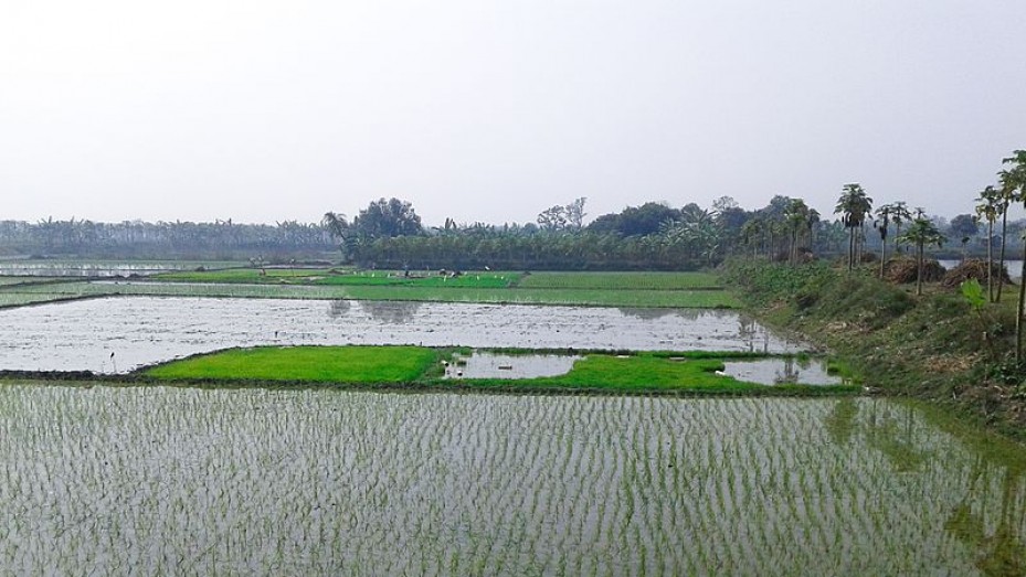 Motihari Photos, Pictures of Famous Tourist Places and Attractions ...