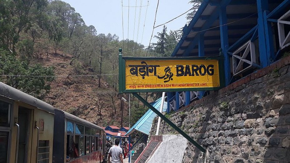 Choor Chandni Peak - Barog | Choor Chandni Peak Photos, Sightseeing ...