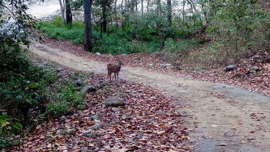Kalagarh Dam Photos-NativePlanet
