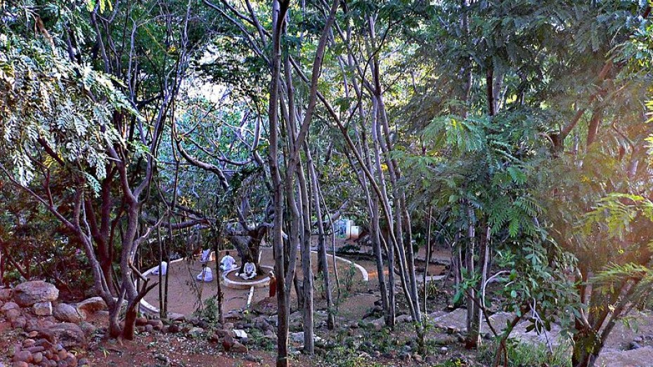 Vata Vruksham - Puttaparthi | Vata Vruksham Photos, Sightseeing ...