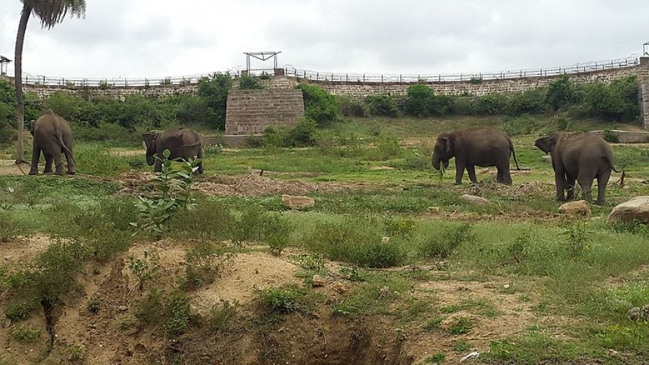 Nehru Zoological Park - Hyderabad | Nehru Zoological Park Photos ...