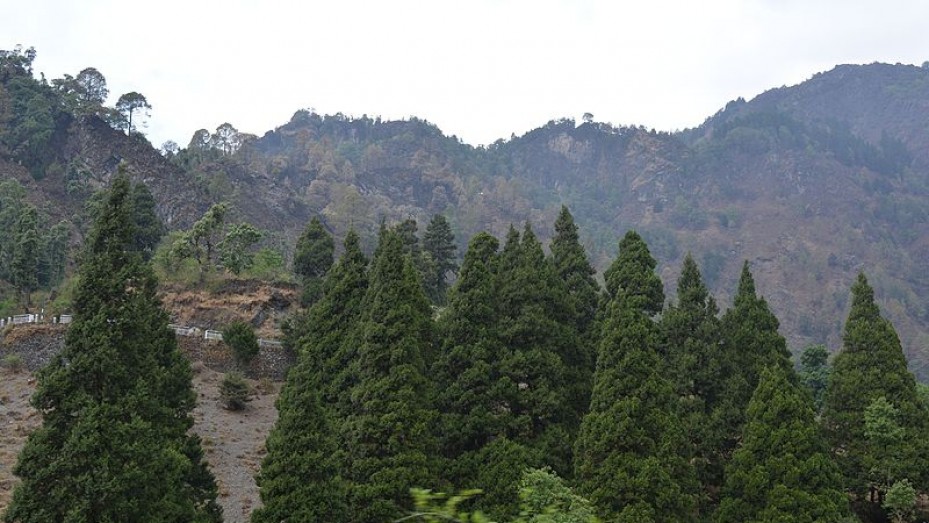 Pangot - Nainital | Pangot Photos, Sightseeing -NativePlanet