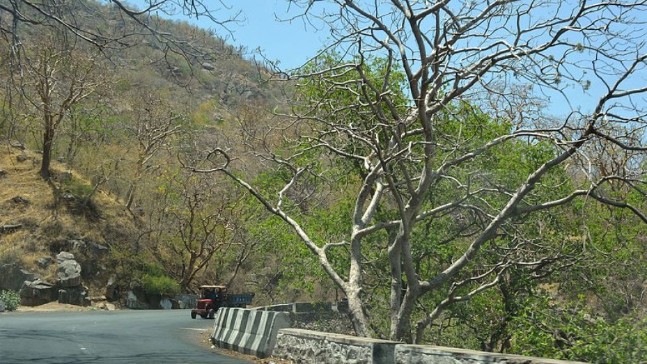 Abu Road - Mount Abu | Abu Road Photos, Sightseeing -NativePlanet