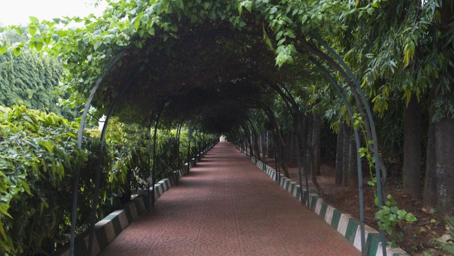 Lal Bagh Botanical Garden Photos-NativePlanet