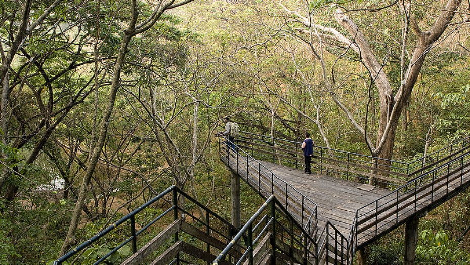 Eco Tourism Project - Thenmala | Eco Tourism Project Photos ...