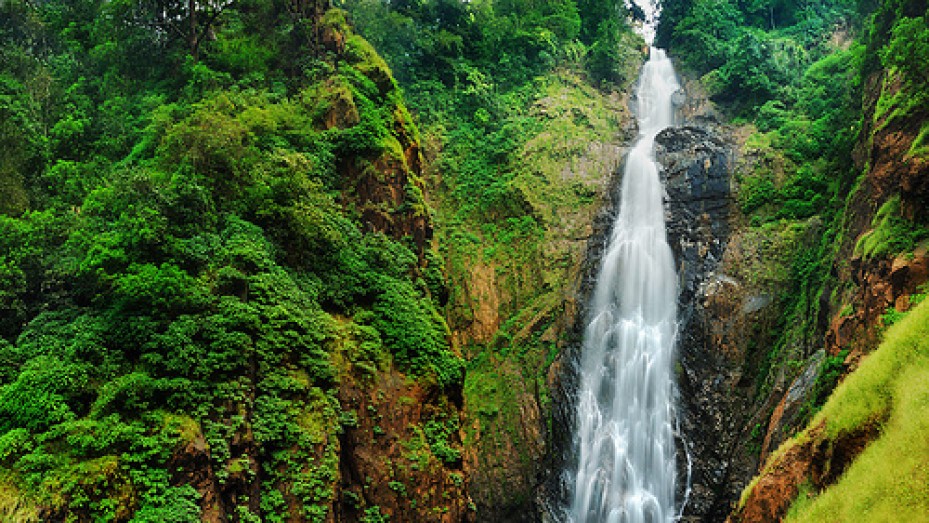 Dabbe Falls - Jog falls | Dabbe Falls Photos, Sightseeing -NativePlanet