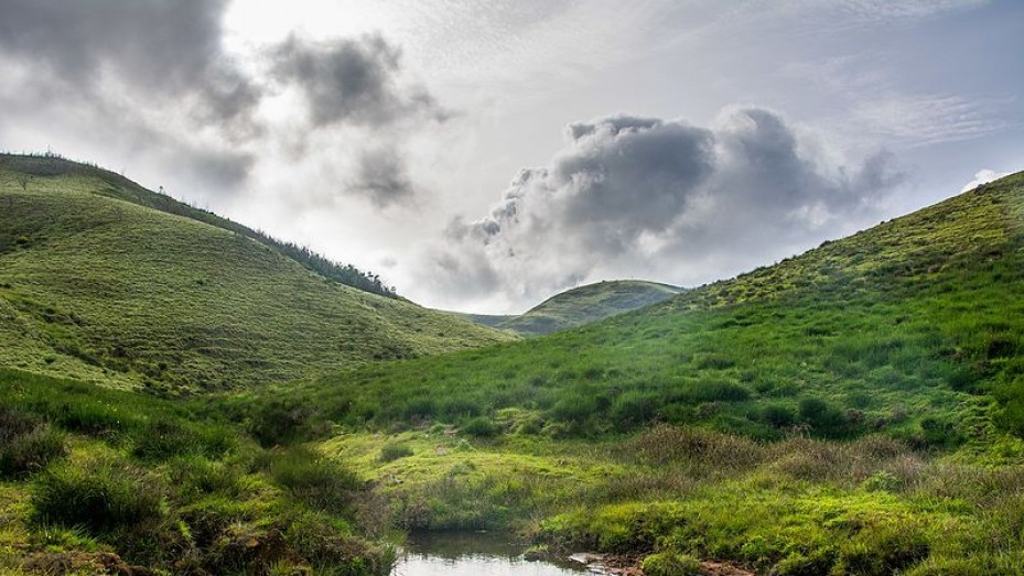 Avalanche Lake - Ooty | Avalanche Lake Photos, Sightseeing -NativePlanet