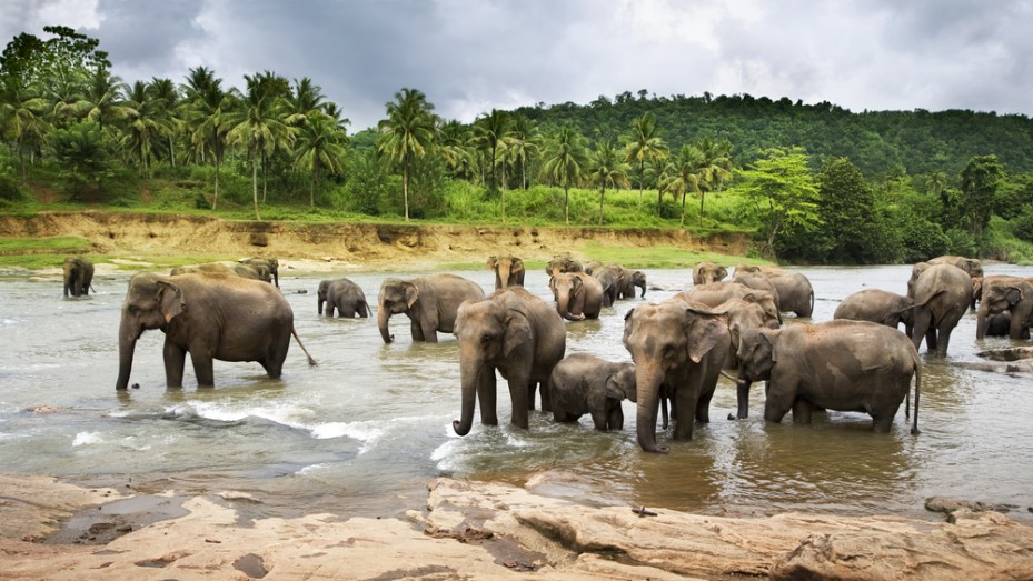 Pathanapuram - Kottarakkara | Pathanapuram Photos, Sightseeing ...