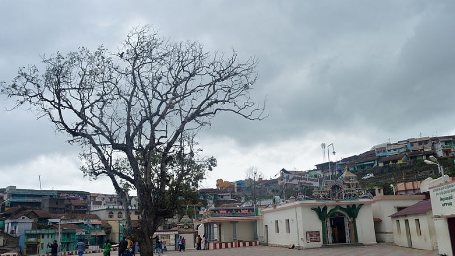 Palani Photos, Pictures of Famous Tourist Places and Attractions ...