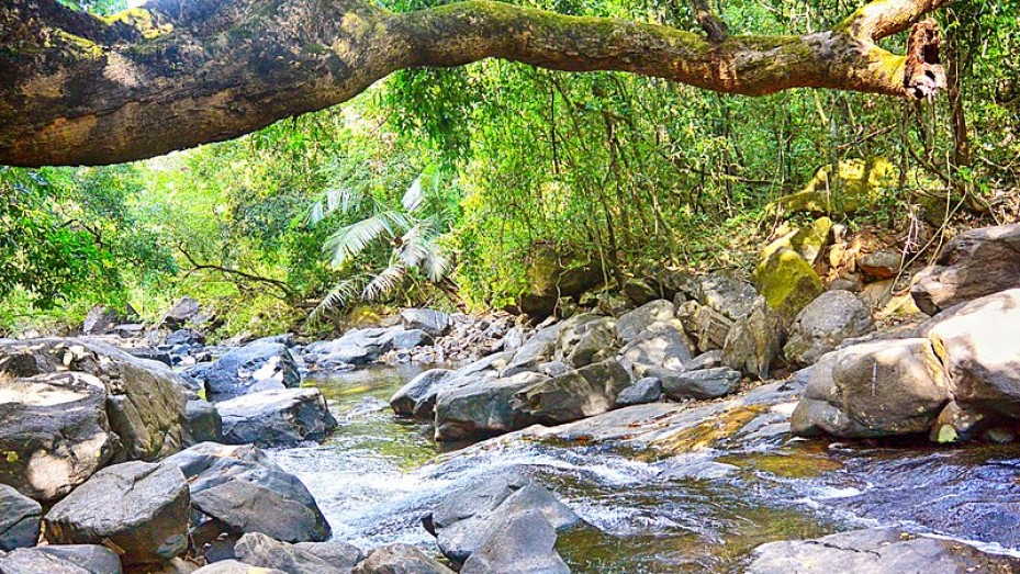 Yellapur Photos, Pictures of Famous Tourist Places and Attractions ...