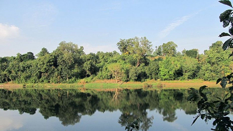 Purna Wildlife Sanctuary - Saputara | Purna Wildlife Sanctuary Photos ...