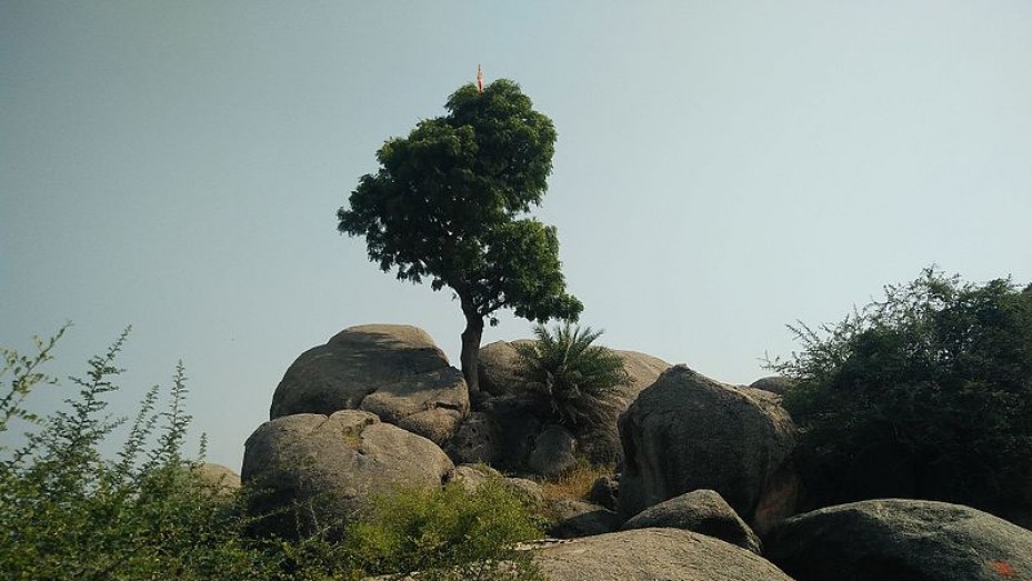 Tonk Photos, Pictures of Famous Tourist Places and Attractions-NativePlanet