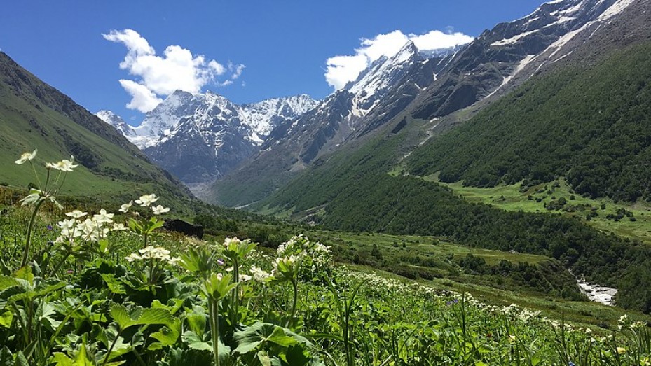Chauntra Valley - Mandi | Chauntra Valley Photos, Sightseeing -NativePlanet