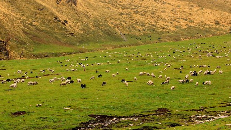Pabbar Valley - Rohru | Pabbar Valley Photos, Sightseeing -NativePlanet