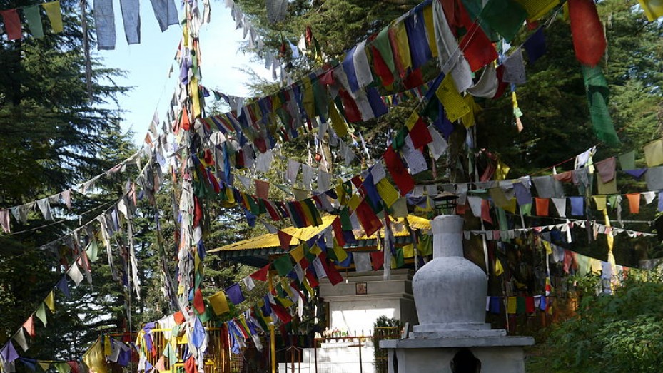 Chinmaya Tapovan - Dharamshala | Chinmaya Tapovan Photos, Sightseeing ...