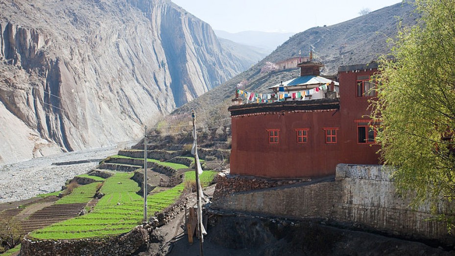 Tso-Pema Ogyen Heru-kai Nyingmapa Gompa - Mandi | Tso-Pema Ogyen Heru ...