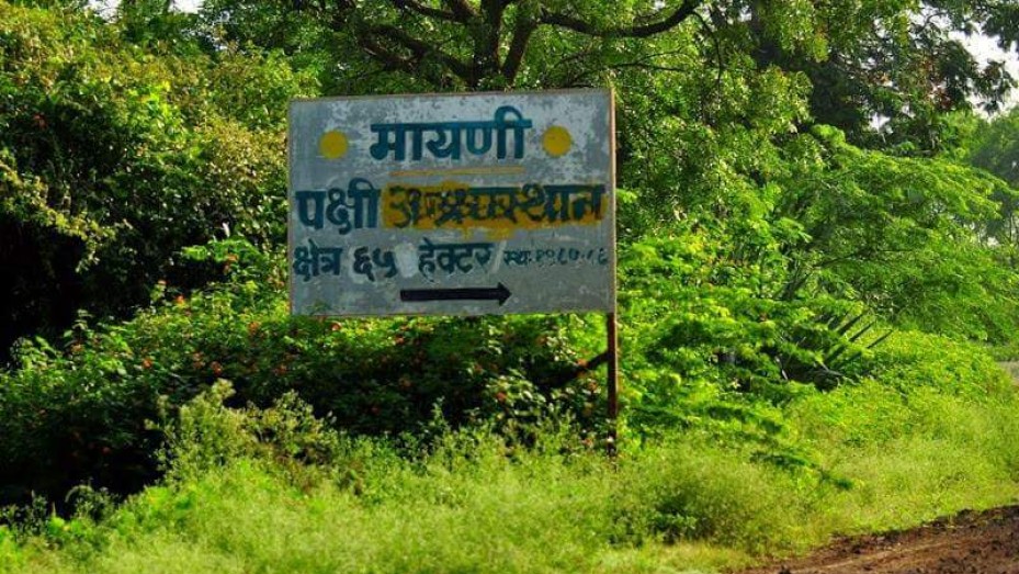 Mayani Bird Sanctuary - Satara | Mayani Bird Sanctuary Photos ...