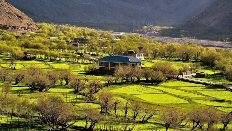 Suru Valley - Ladakh | Suru Valley Photos, Sightseeing -NativePlanet
