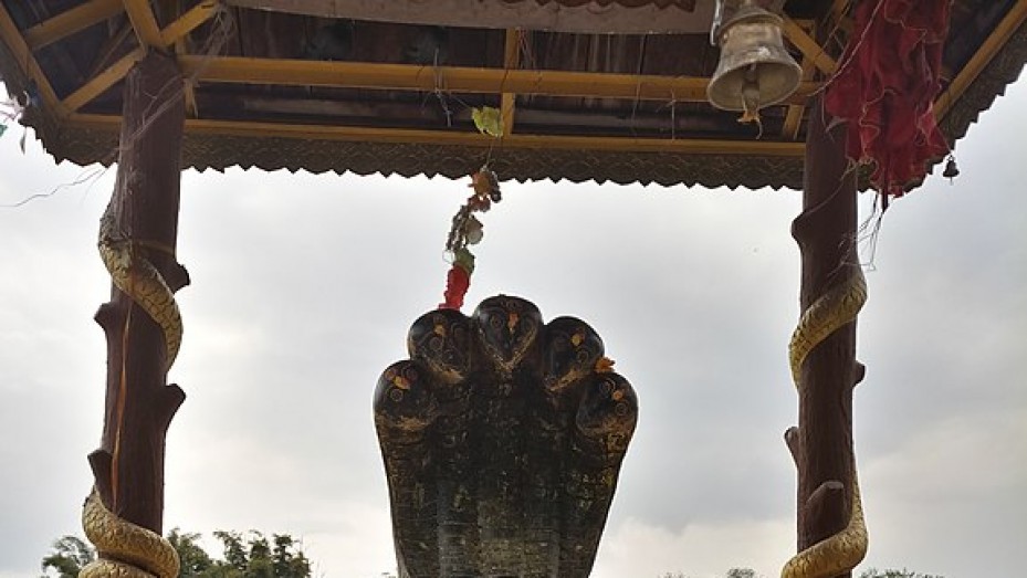 Karkotaka Nag Temple - Bhimtal | Karkotaka Nag Temple Photos ...