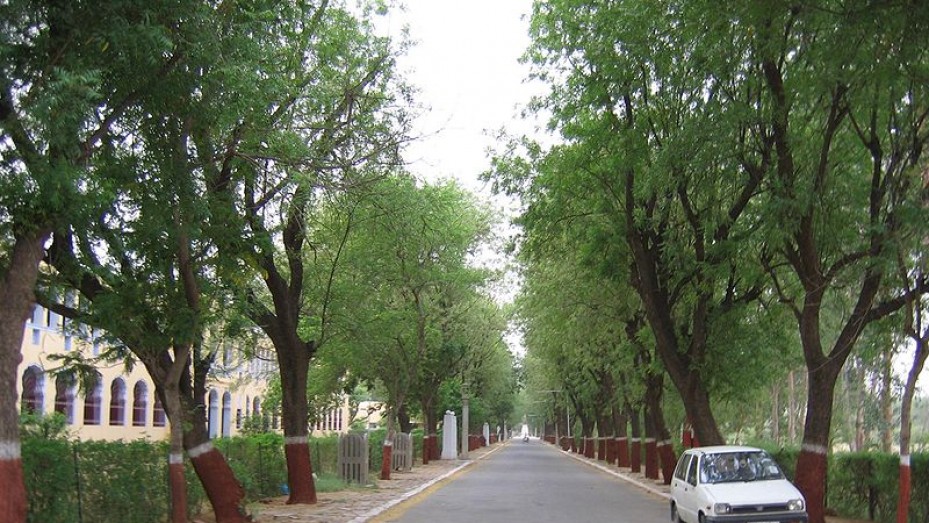 Panchvati - Pilani | Panchvati Photos, Sightseeing -NativePlanet