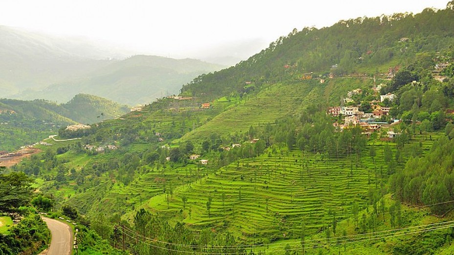 Trekking - Almora | Trekking Photos, Sightseeing -NativePlanet