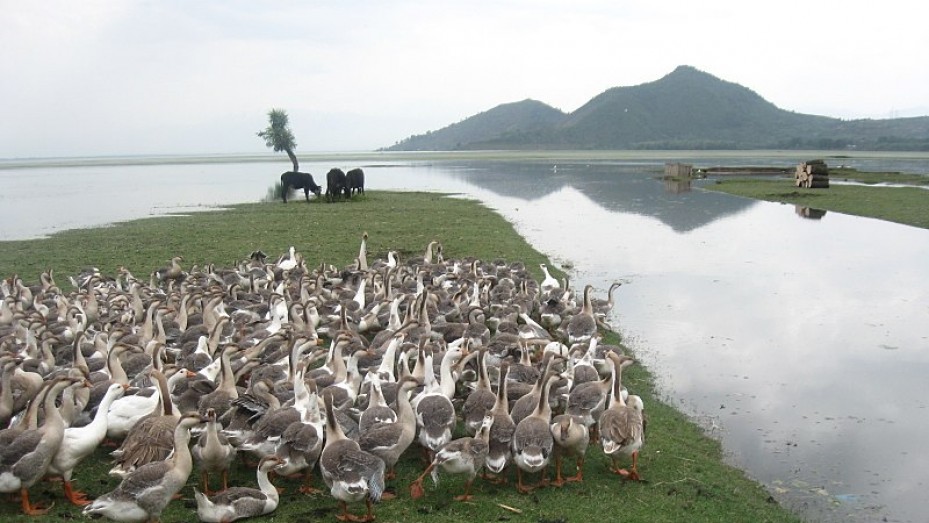 Baramulla Photos, Pictures of Famous Tourist Places and Attractions ...