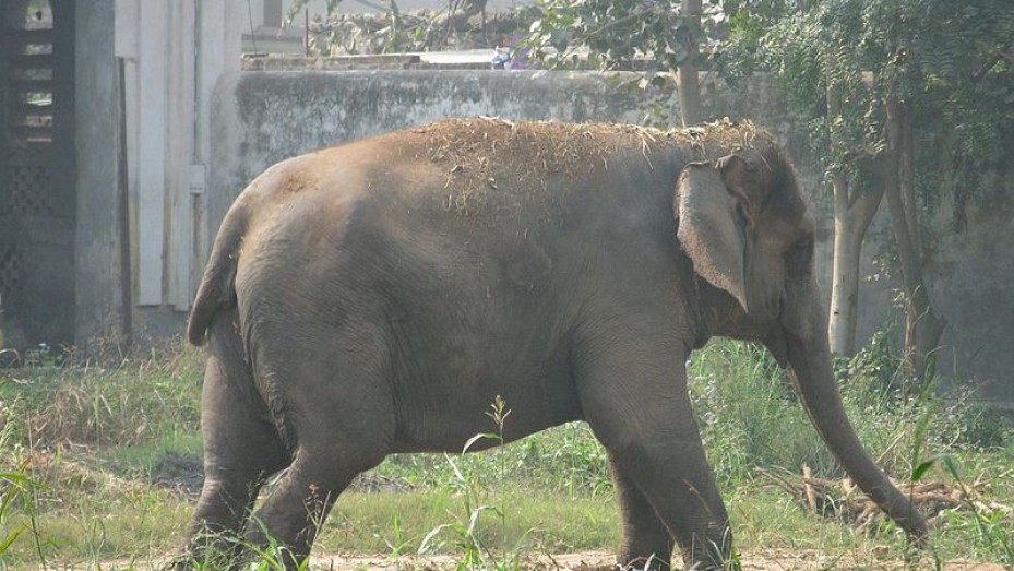 Kukrail Forest Reserve - Lucknow / 2023 | Kukrail Forest Reserve Photos ...
