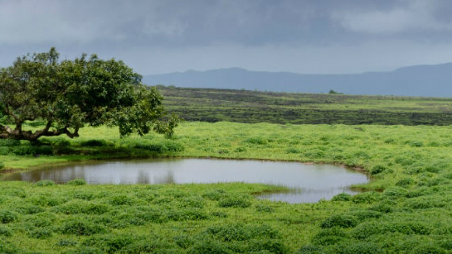 Kaas Plateau and Kaas Lake - Satara | Kaas Plateau and Kaas Lake Photos ...