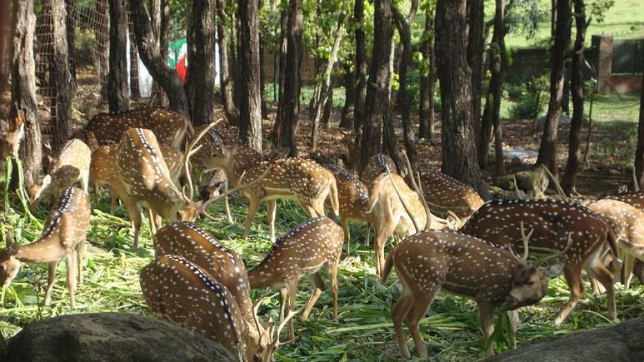 Sattal Photos, Pictures of Famous Tourist Places and Attractions ...