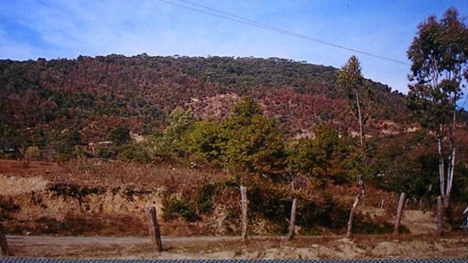 Maram Khullen - Senapati | Maram Khullen Photos, Sightseeing -NativePlanet