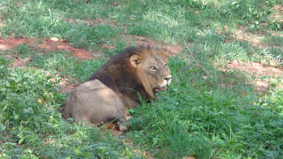 Ushakothi - Sambalpur | Ushakothi Photos, Sightseeing -NativePlanet