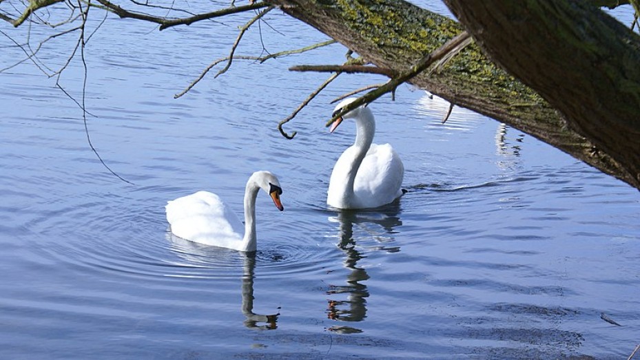 Narnaul Photos, Pictures of Famous Tourist Places and Attractions ...