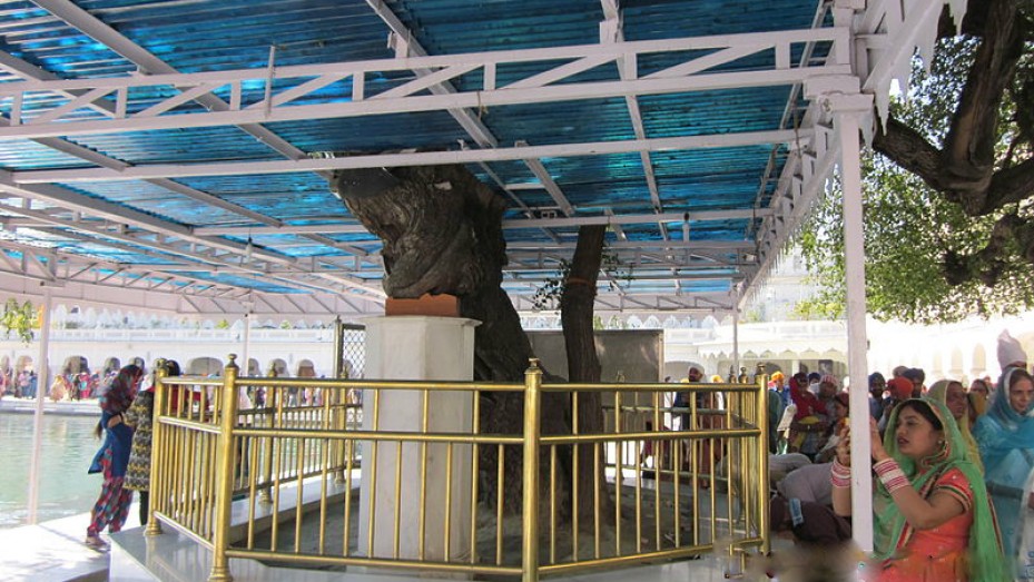 Dukh Bhanjani Ber Tree - Amritsar | Dukh Bhanjani Ber Tree Photos ...