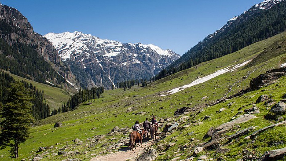 Horse Riding (Pony Ride) - Pahalgam | Horse Riding (Pony Ride) Photos ...