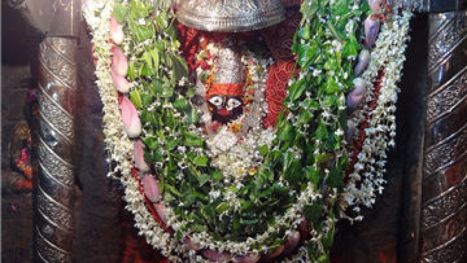 Ashtabhuja Devi Temple - Vindhyachal | Ashtabhuja Devi Temple Photos ...