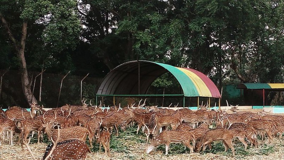 Maitri Bagh - Bhilai | Maitri Bagh Photos, Sightseeing -NativePlanet