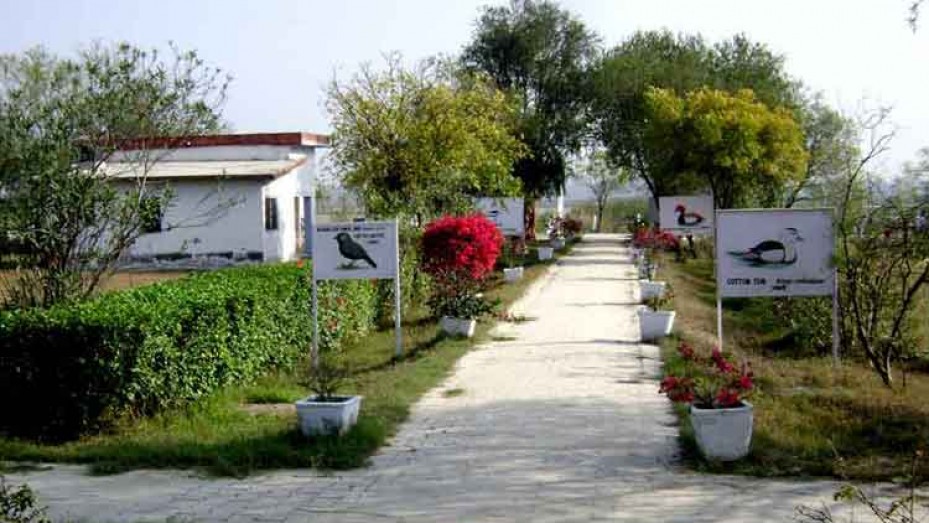 Samaspur Bird Sanctuary - Raebareli | Samaspur Bird Sanctuary Photos ...