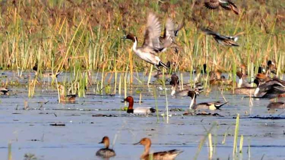 Raebareli Photos, Pictures of Famous Tourist Places and Attractions ...