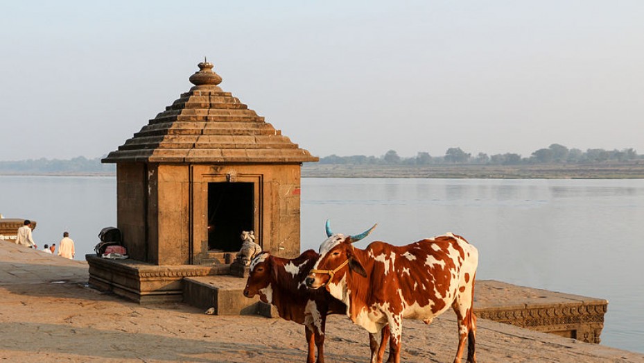 Maheshwar Ghats (Peshwa, Ahilya And Fenese Ghat) - Maheshwar ...