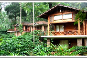 Forest Flower Coorg | Forest Flower | Coorg Hotels & Resorts -NativePlanet