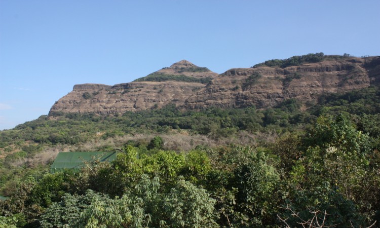 Canopy Machan Lonavala | Canopy Machan | Lonavala Hotels & Resorts ...