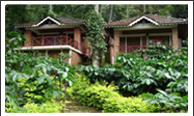 Forest Flower Coorg | Forest Flower | Coorg Hotels & Resorts -NativePlanet